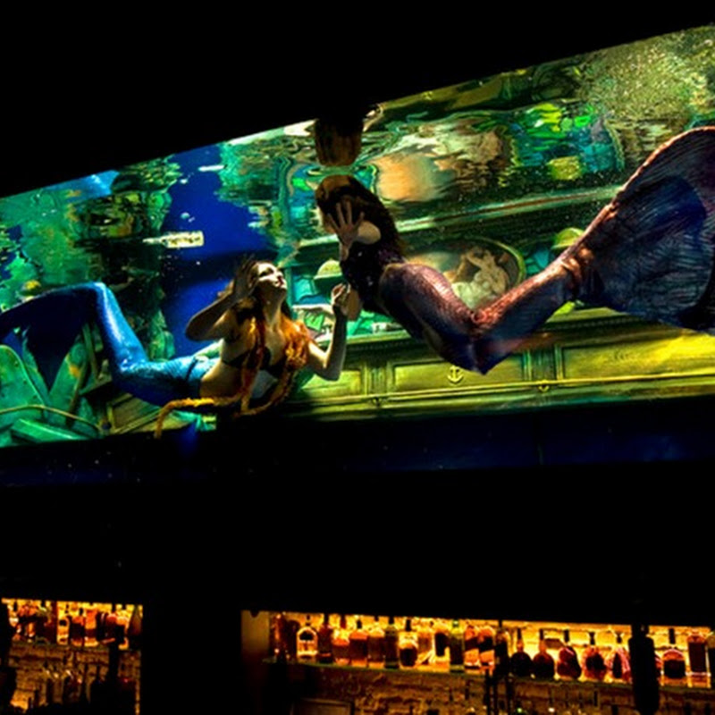 Mermaid Bar at Sacramento | Amusing Planet